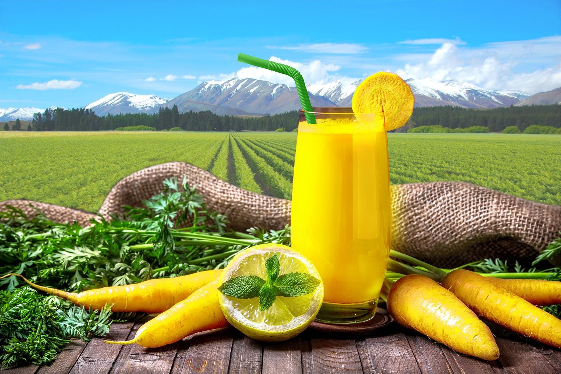 Yellow Carrot Juice Concentrate - Juice Products New Zealand (JP-NZ)
