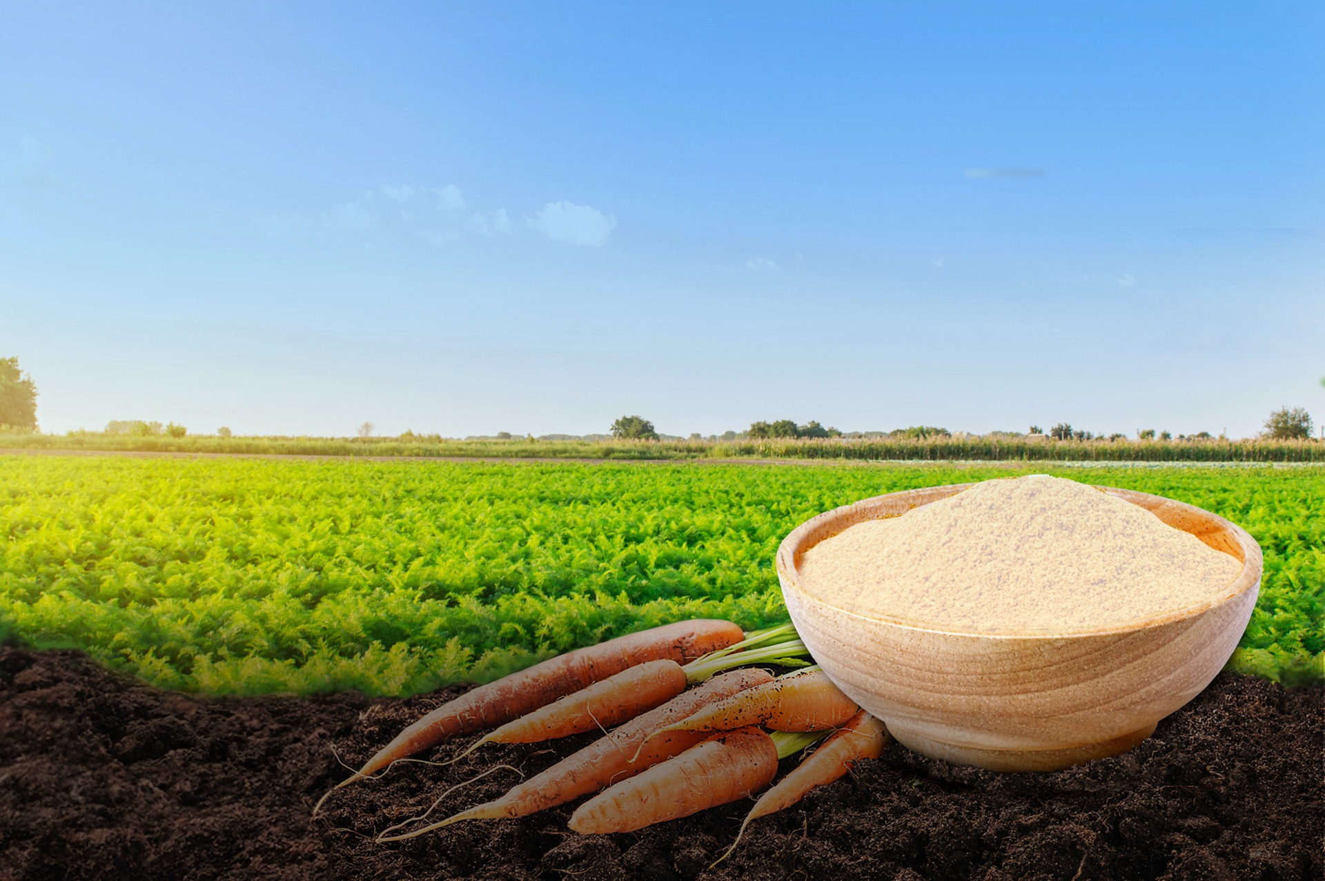 CarrotMax, Juice Products New Zealand (JP-NZ)